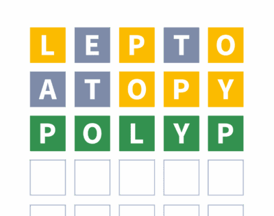 Clinician's Brief: Trusted Daily Veterinary Essentials